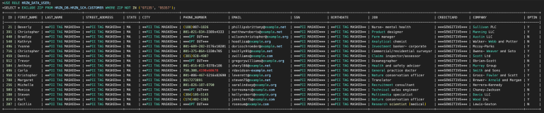 Snowflakeで始めるデータガバナンス | sreake.com | 株式会社スリーシェイク